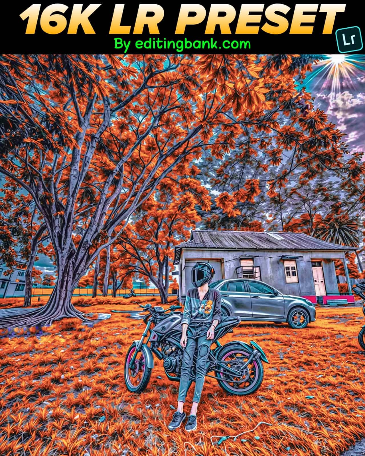 Lightroom background store