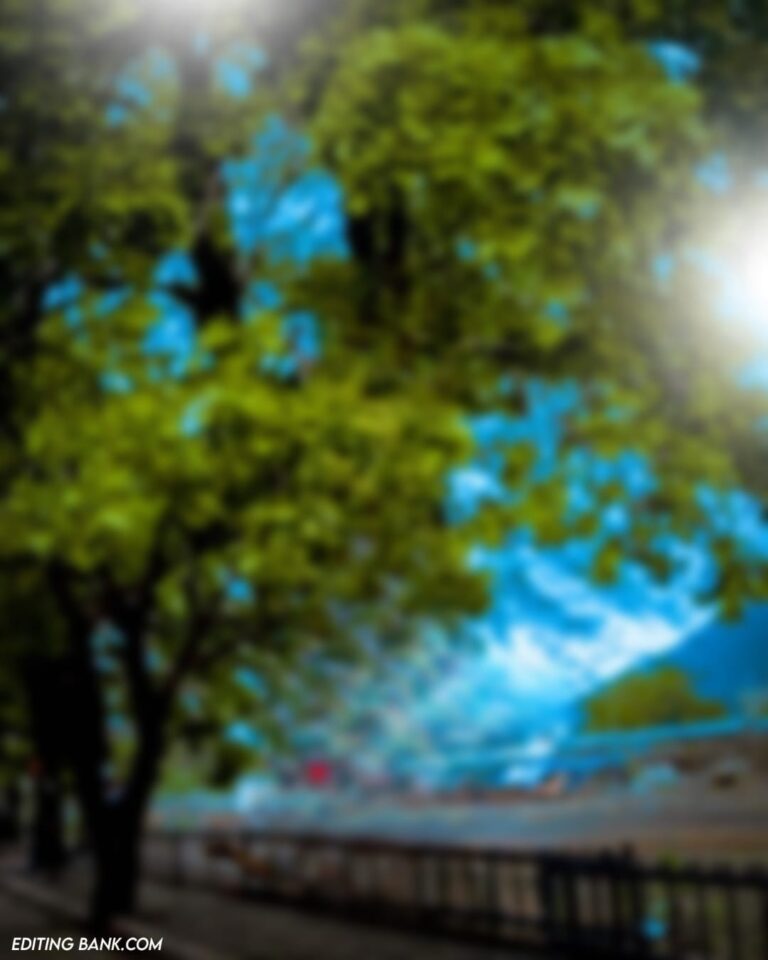 Trending Nagpuri Photo Editing Background HD - Editing Bank